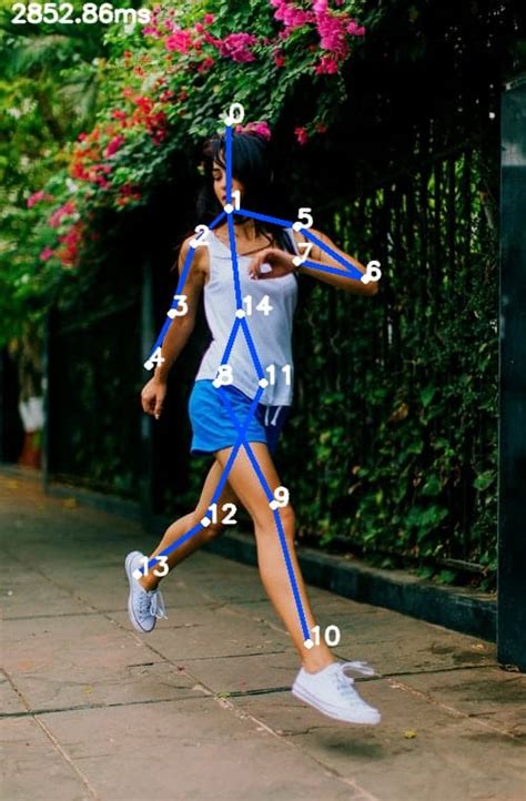 Human Pose Estimation Using Deep Learning In Opencv Cv