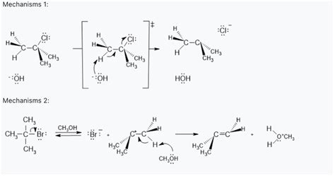 [Solved] Identify E1 and E2 Reactions, Discuss the differences between those... | Course Hero