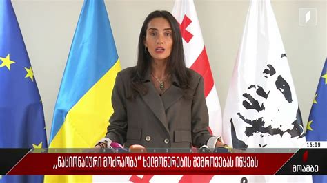 „ნაციონალური მოძრაობა“ ხელმოწერების შეგროვებას იწყებს Youtube