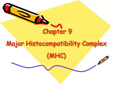 PPT Chapter Major Histocompatibility Complex MHC PowerPoint Presentation ID