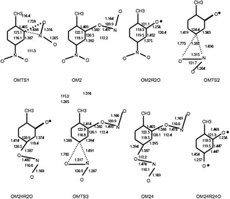 Optimized Structures Of The Intermediates And Transition States In The