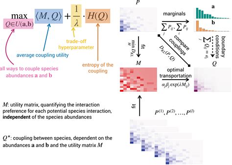 Optimal Transportation Theory For Species Interaction Networks Stock 2021 Ecology And