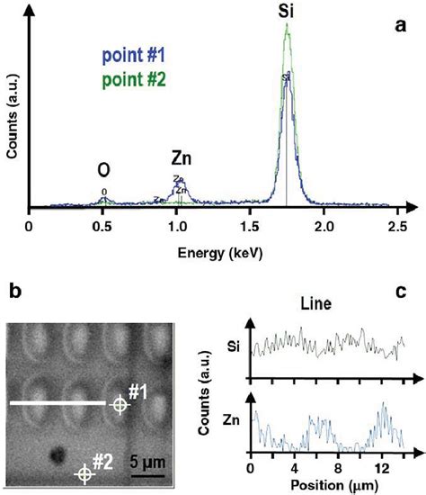 Eds Spectra Of Elements Detected In The Sample Zn O Si A