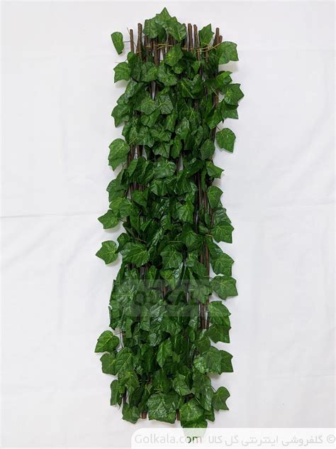 پرچین سبز اکاردئونی برگ انگوری ۸۰×۲۶۰ سانتی متری فروشگاه اینترنتی گل