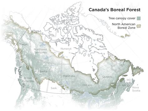Alberta Boreal Forest Map In Worst Case Scenario The Trees In Big