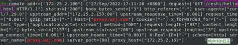 Nginx六十proxy模块一proxypass指令nginx Proxy Csdn博客