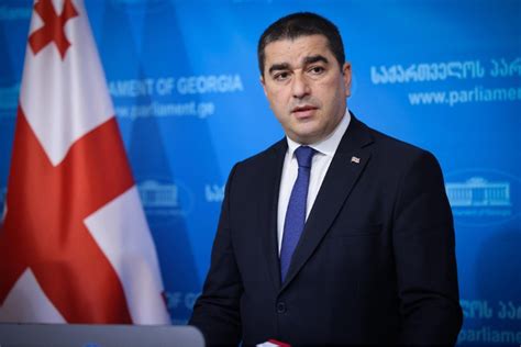 ქართული ოცნება მხარდამჭერთა ჯგუფი შლვა პაპუაშვილი ჩვენი მოსახლეობა დეზინფორმაციისგან უნ