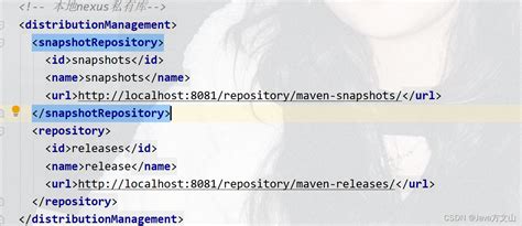 从零开始：nexus私服搭建与maven仓库配置的完全指南 nexus搭建 csdn博客