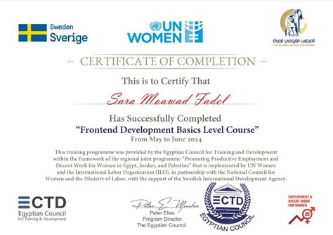 sara moawad on linkedin new achievement 🎉 i have graduated from front