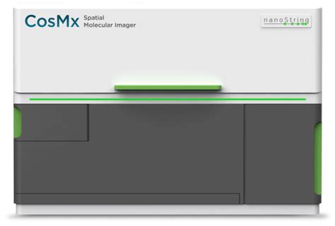 Pioneering Spatial Transcriptomics Exploring Single Cell Imaging With The Cosmx Smi Nanostring
