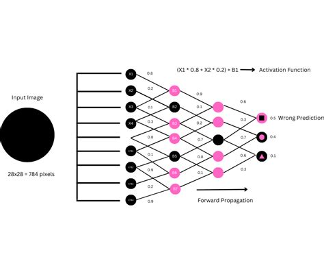 Flower Classification Using Cnn Copyassignment
