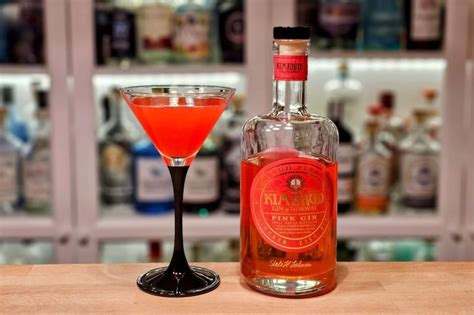 Gt Med Gindome Viking Dry Gin Alt Om Gin