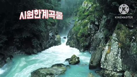 더운계절에 시원한계곡 영상보고 아름다운새소리와물소리들으며 힐링하세요시원함 명상 힐링 Youtube