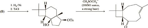 E J Coreys 1964 Total Synthesis Of α Caryophyllene Essence Of