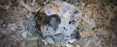 男女の違いは火葬後も骨に刻まれている