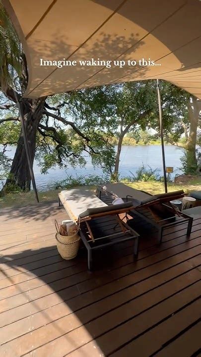Your Safari Oasis Awaits At Thorntree River Lodge 🐘 Zambia Safari