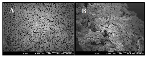 Synthesis Of Some Nano Multi Arms Polylactide Dipentaerythritol Organic Polymers