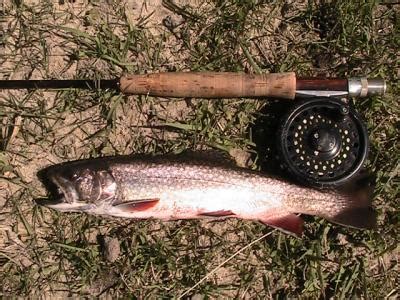 SE MN Trout Fishin MN Trout Streams MN Trout Streams In Depth Outdoors