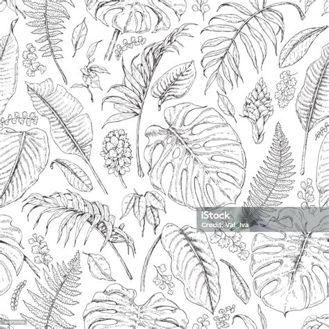열대 식물과 원활한 패턴 식물에 대한 스톡 벡터 아트 및 기타 이미지 식물 잎 아마존 지역 Istock