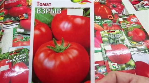 КАКИЕ ТОМАТЫ ВЫБРАТЬ? СКОРОСПЕЛЫЙ СОРТ ВЗРЫВ. Обзор Ольги Черновой ...