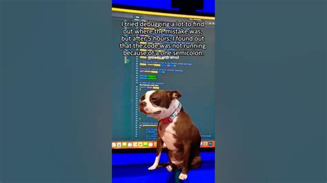 Programming Meme Shorts Programming Programmingmeme Python 30sec Youtube