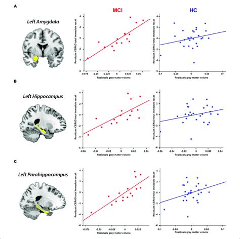 Partial Correlations Controlling For Age Gender Education And Tiv