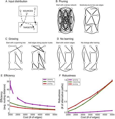 Computational Network Model And Comparison Between Pruning And Download Scientific Diagram