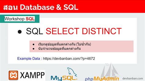 สอน Sql Select Distinct เพื่อเรียกดูข้อมูลที่แตกต่างกัน บน Phpmyadmin