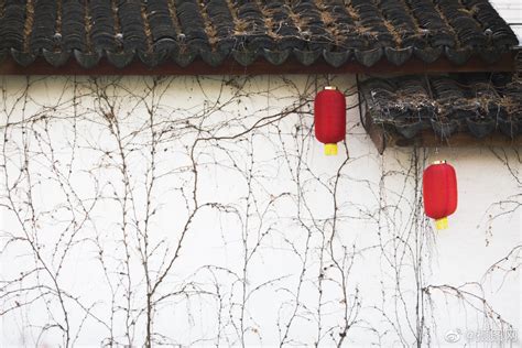 白墙黛瓦，犹如一幅幅水墨画