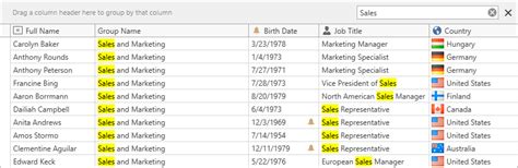 Searchcontrol Class Wpf Controls Devexpress Documentation