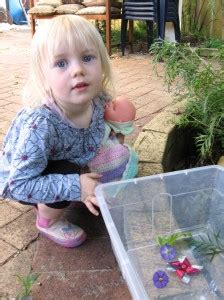 Science Lesson Idea For Teaching Classification