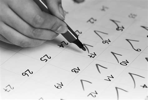 Best Cpa Networks That Pay Daily In 2025 Affroom