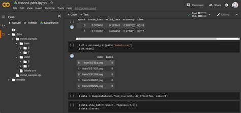 training mnist dataset part 1 2019 fast ai course forums