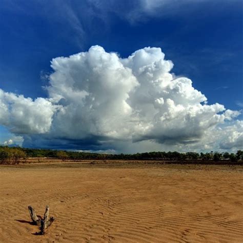 Jason Pitt — Bundanon