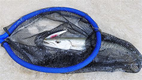 Promar Profloat Landing Net