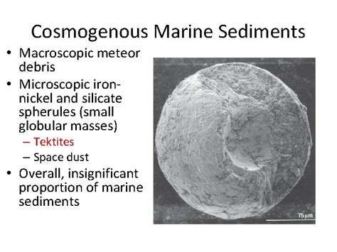 CHAPTER Marine Sediment Classification A Shape Size