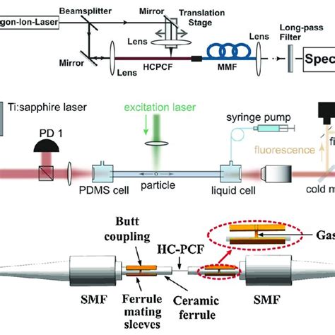 Detection Instrument Schematics For Fluorescent Detection A A System Download Scientific