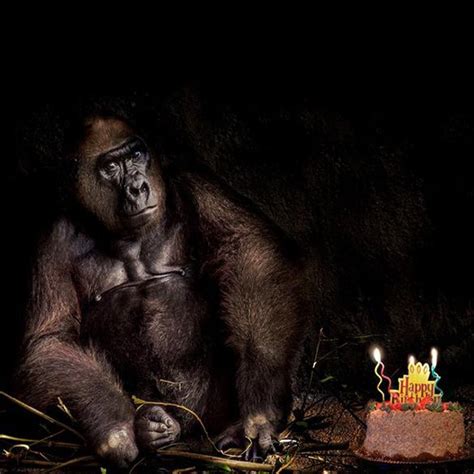 Картинка с днем рождения без слов скачать бесплатно