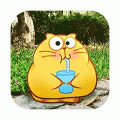 Funny Drink Water  At Toni Esser Blog