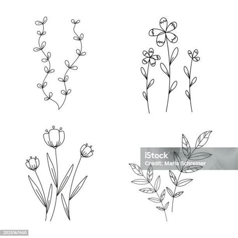 꽃과 식물 라인 드로잉 흰색 배경에 고립 된 벡터 일러스트 레이 션 0명에 대한 스톡 벡터 아트 및 기타 이미지 0명 개체 그룹 개화기 Istock