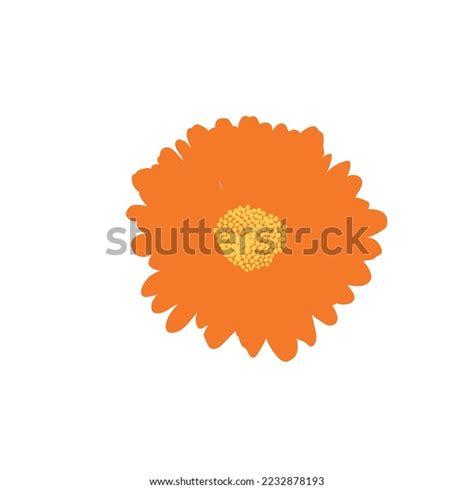 Simple Abstract Hand Drawn Doodle Flower Stock Vector Royalty Free