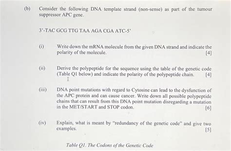 Solved b) Consider the following DNA template strand | Chegg.com