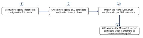 Verify MongoDB SSL Certificates PingIntelligence
