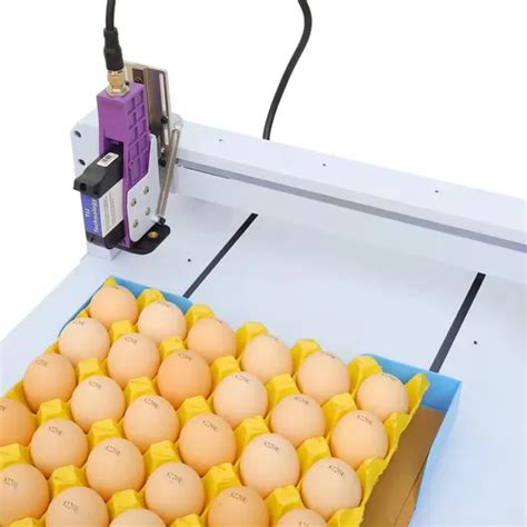 2024 New Egg Date Printer Portable Smart Egg Printing Machine Expiry