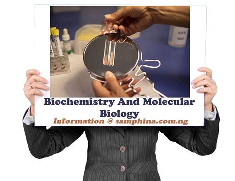Universities That Offer Biochemistry And Molecular Biology