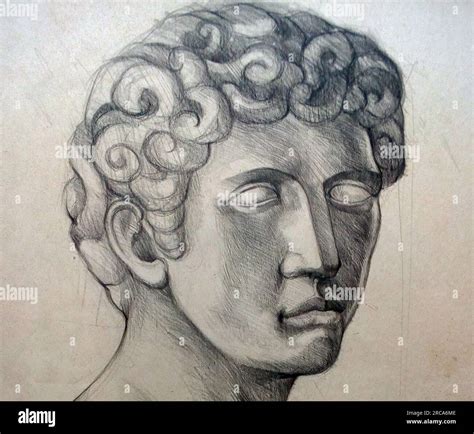 Art Drawing Light And Shadow Man Face Stock Photo Alamy