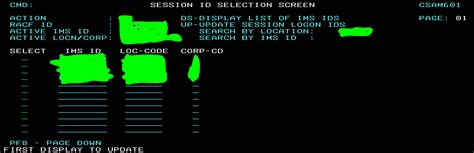 How To Go Back To Next Page Using Terminal Session For Ibm Pc Help