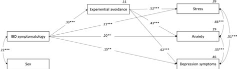 Parameter Estimates For The Path Analysis N 203 Standardized