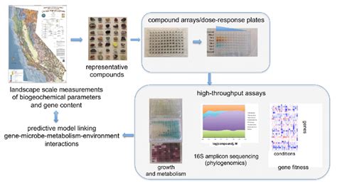 High Throughput Cultivation Pipelines Can Be Used To Evaluate
