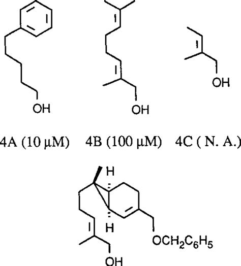 Allomyces Arbusculus Semantic Scholar